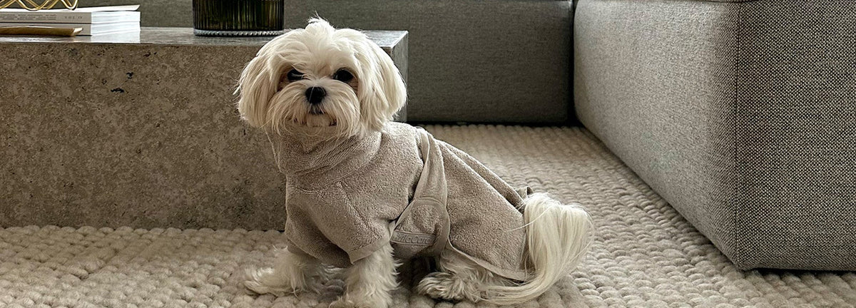 Long Fur Care Essentials – Bone Street