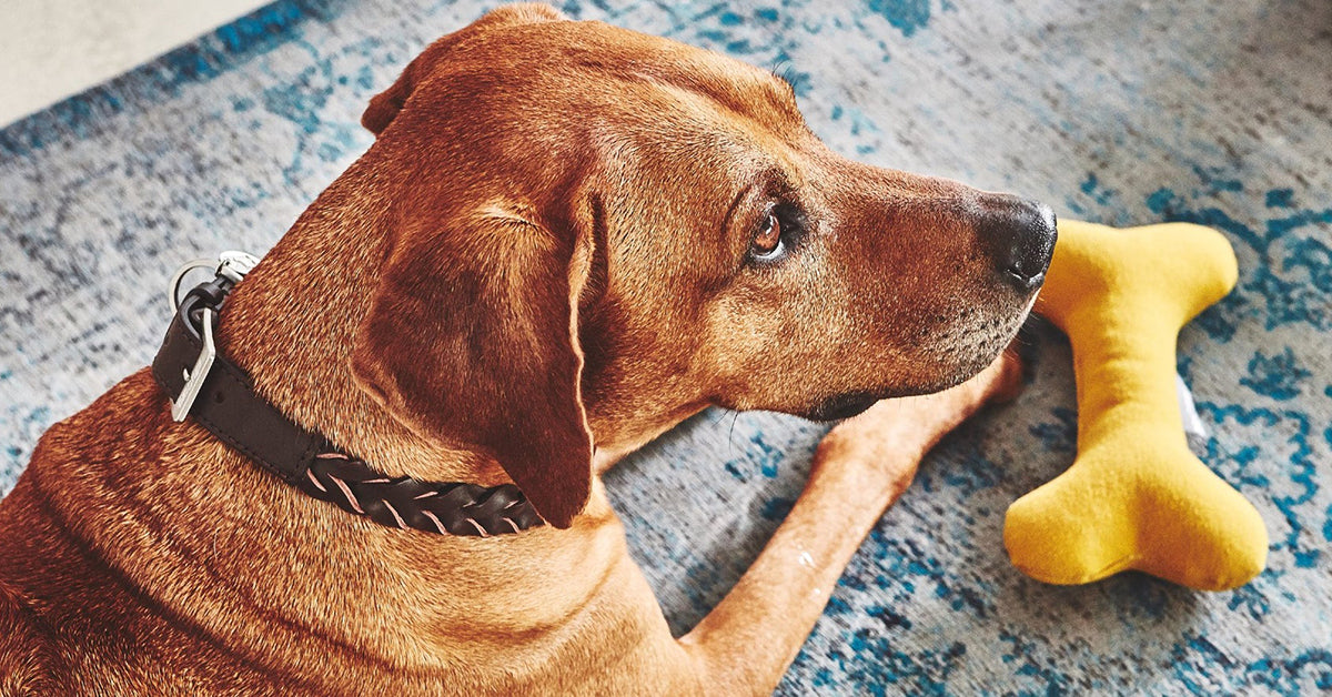 בון סטריט – Bone Street